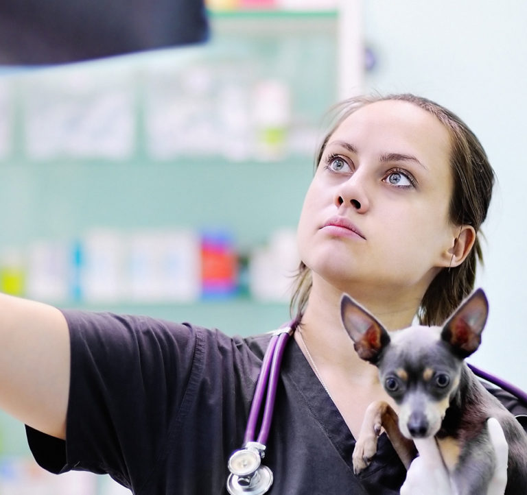SearchLight DNA - Vidium Animal Health